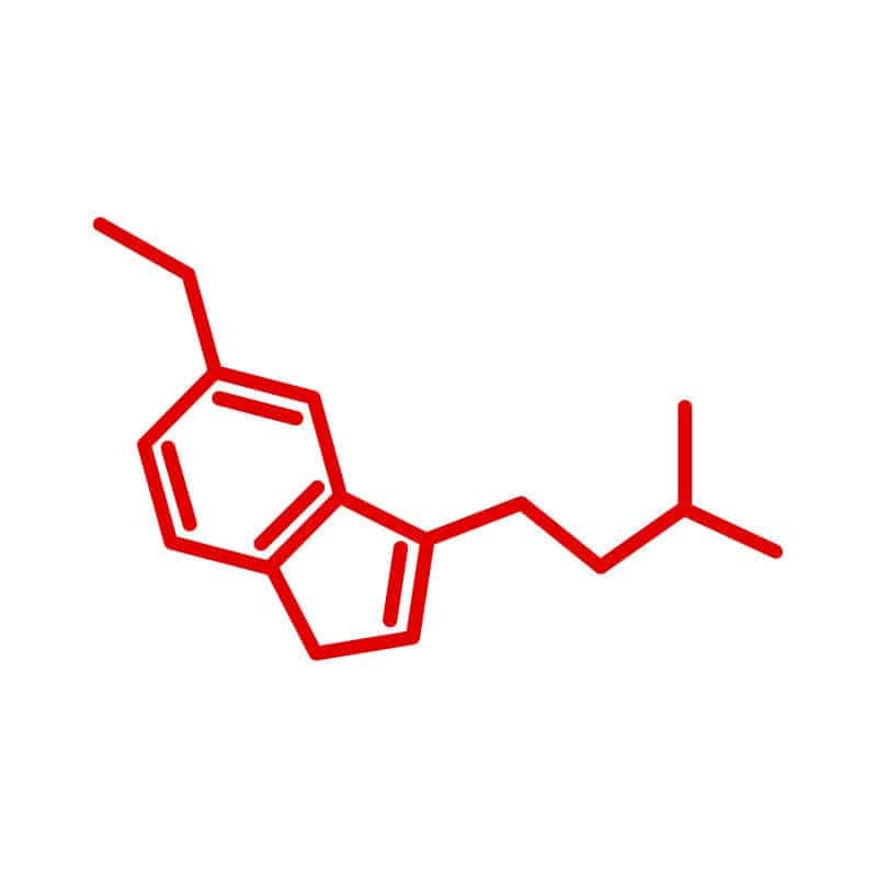 Kambo Psychedelic Guide: Benefits, Experience & Effects - Third Wave