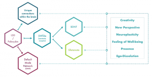 LSD Microdosing Guide - How to Microdose LSD, Benefits & More