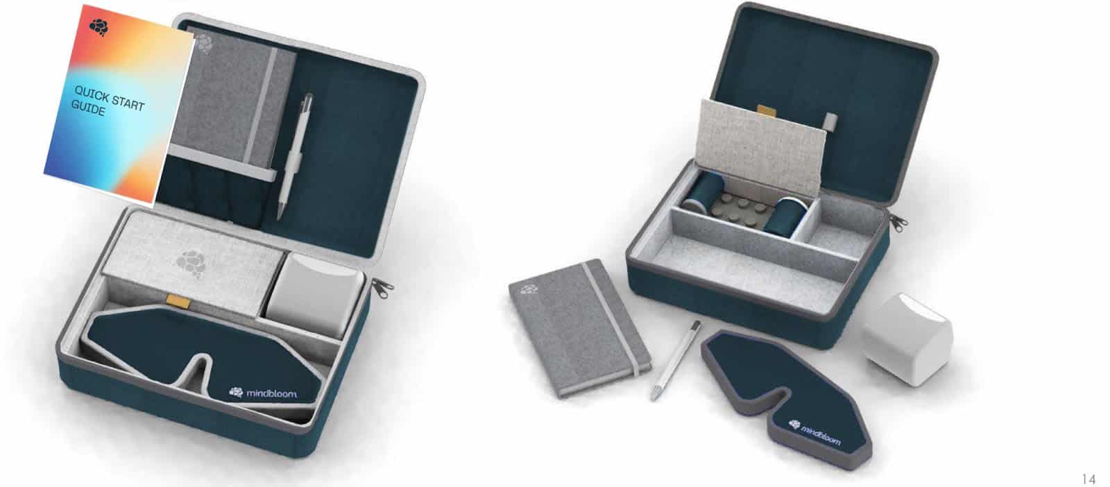 Mindbloom Review: Telemedicine Psychedelic Treatment