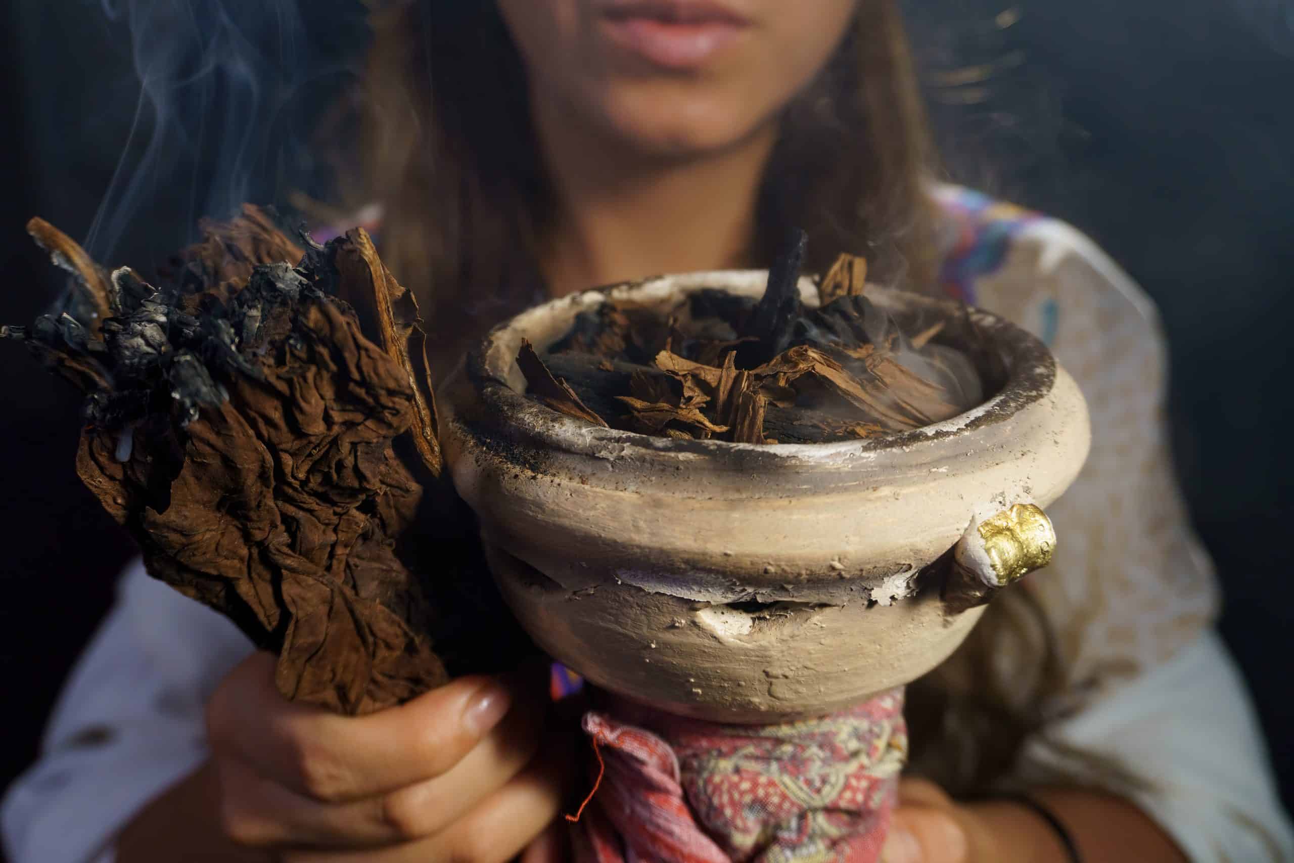 The Ultimate Guide to The Tobacco Plant - Third Wave