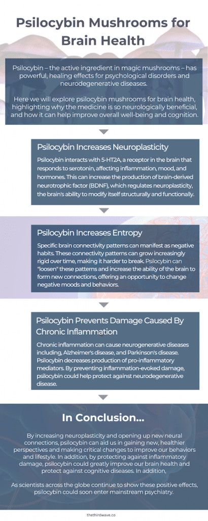 Psilocybin Mushrooms for Brain Health: How Do They Help? - Third Wave
